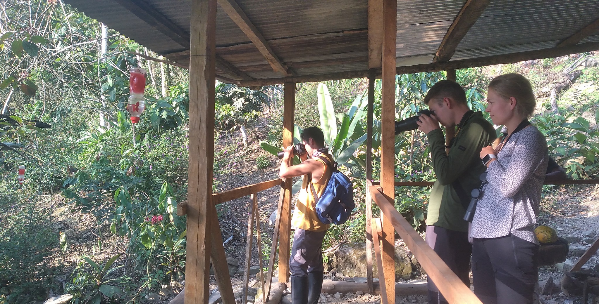 Que Hacer en el Manu? 5 Cosas Imperdibles - Zona Cultural